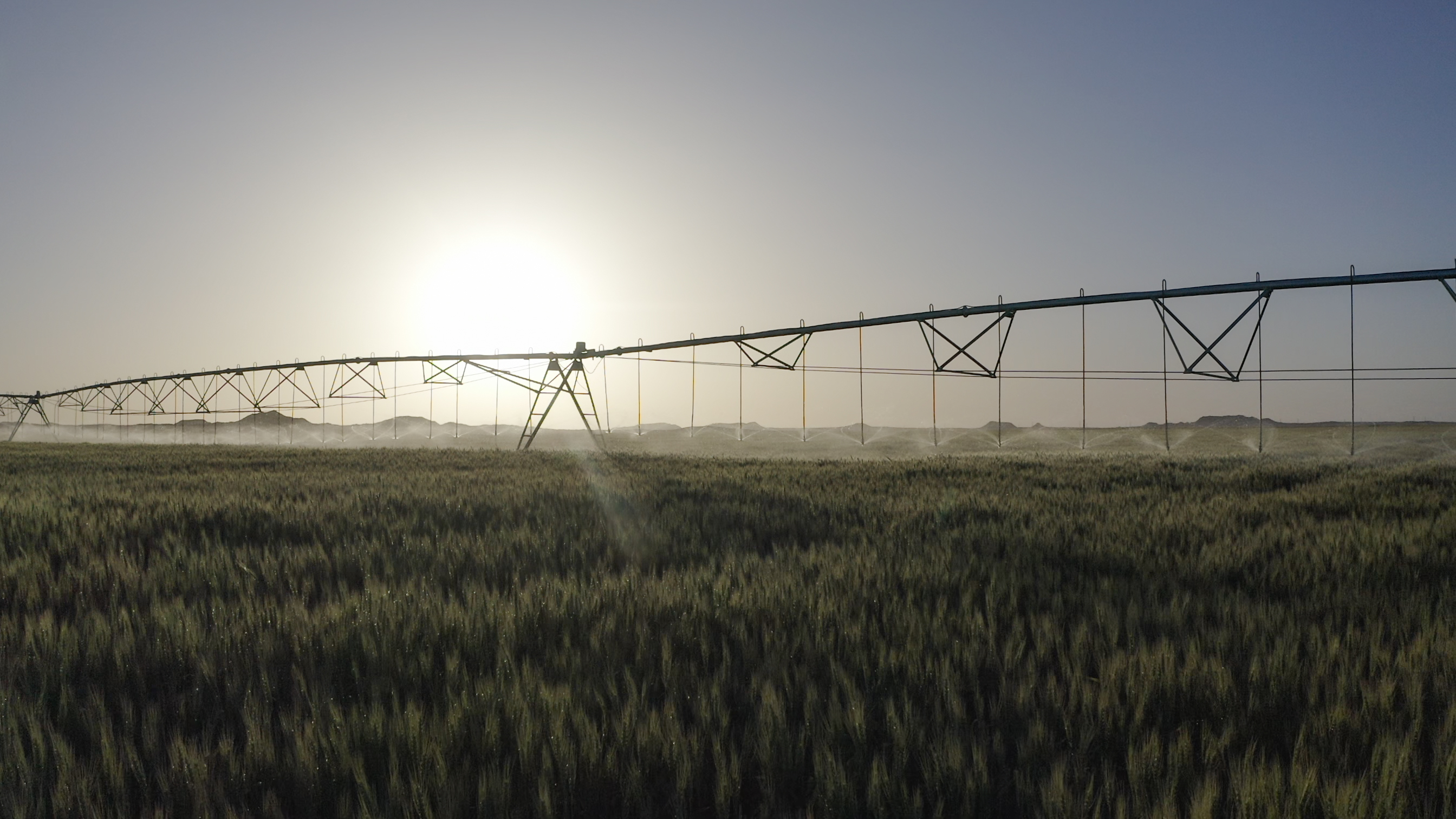 The successful launch of Delta Pivot - Elsewedy Website